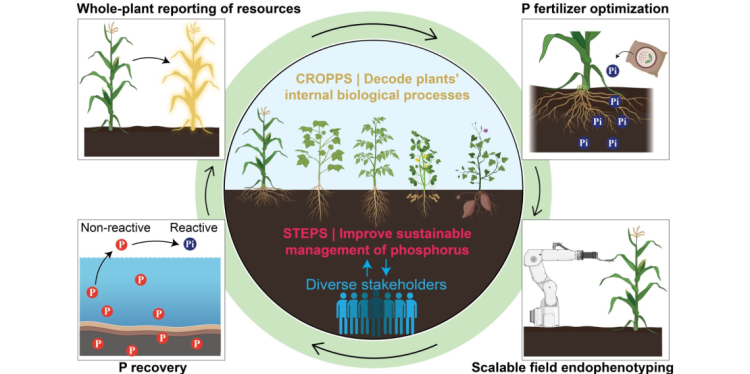 Growth across fields: Scientific collaboration tackles farming ...