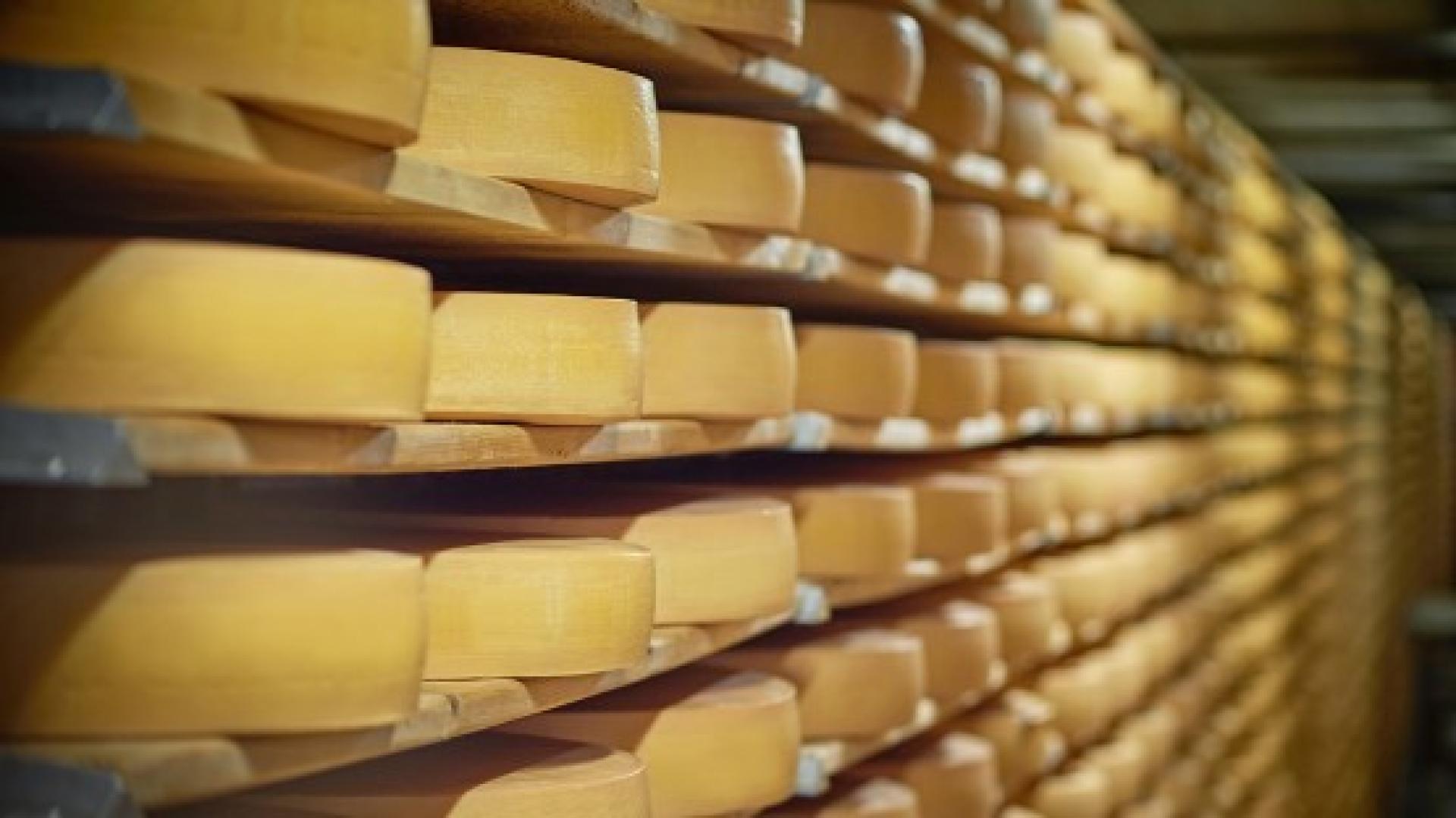 Cornell’s ‘big cheese’ of cheese retires | CALS
