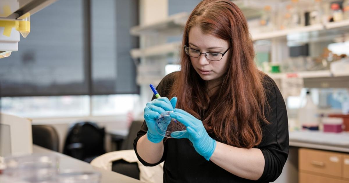 Mann award winner probes cell behavior | CALS