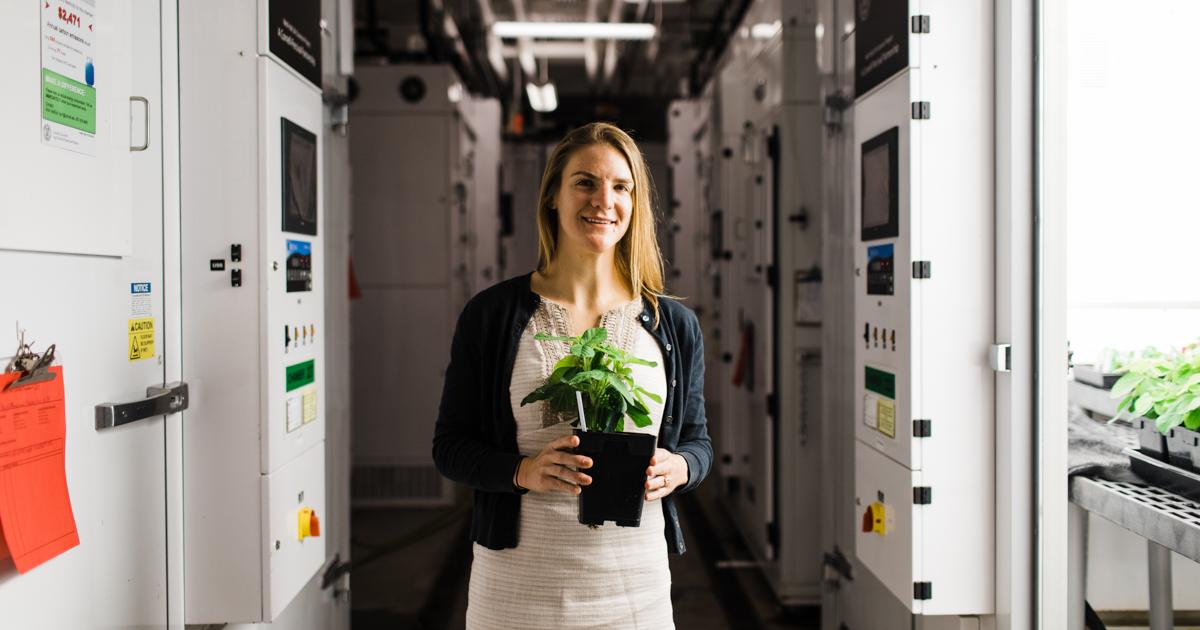 Meet Our Faculty: Margaret Frank | CALS