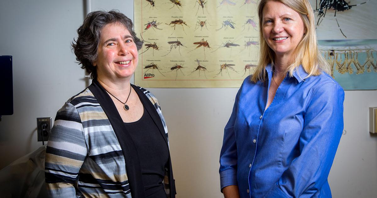 Grant Explores Using Seminal Fluid Proteins to Control Mosquitoes | CALS