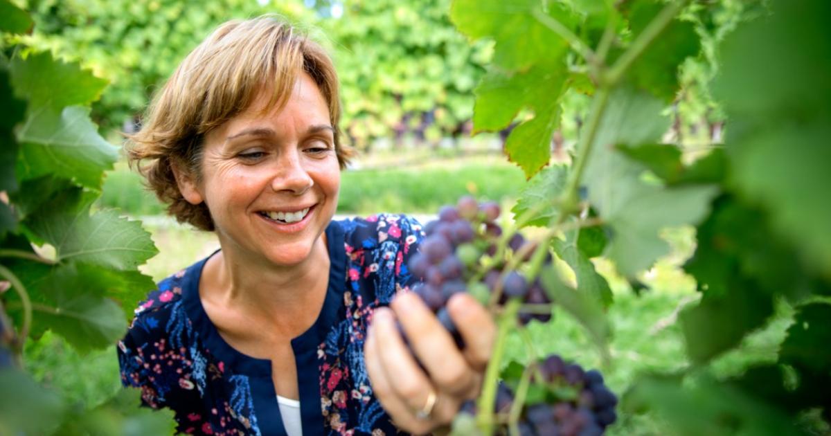 Digital agriculture workshop highlights radical collaborations | CALS