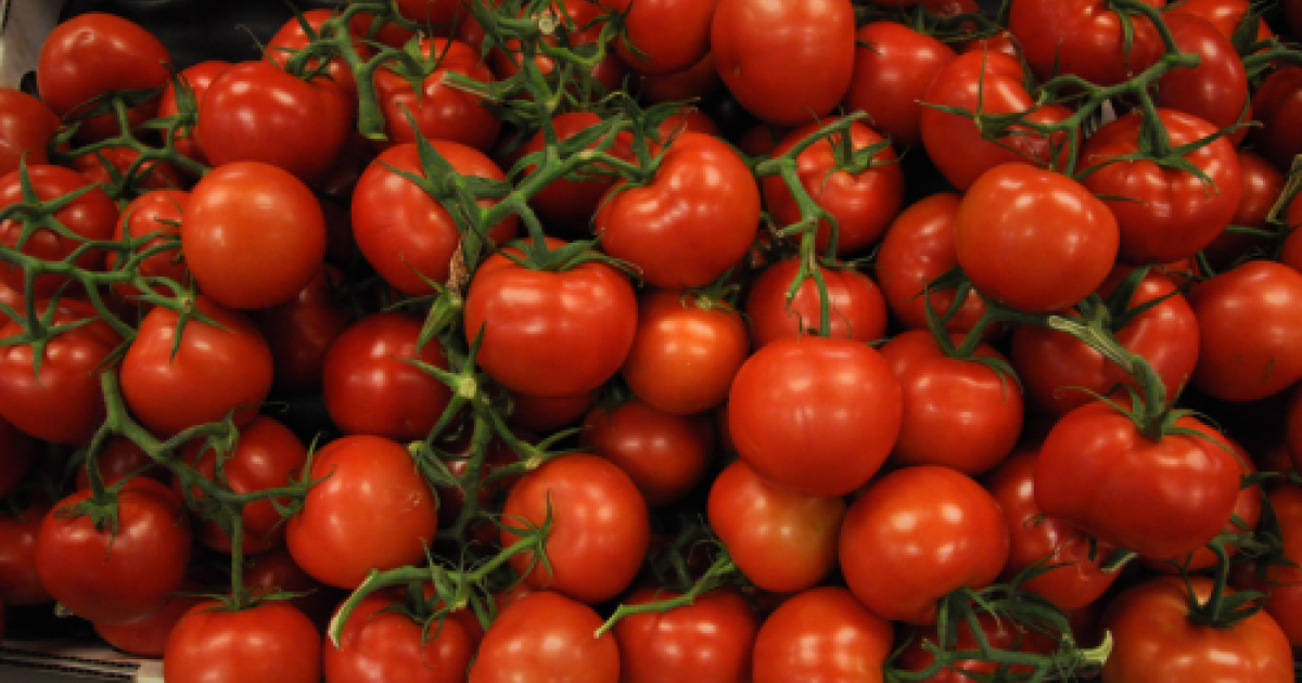 Giovannoni is working to put the flavor back in your tomato | CALS