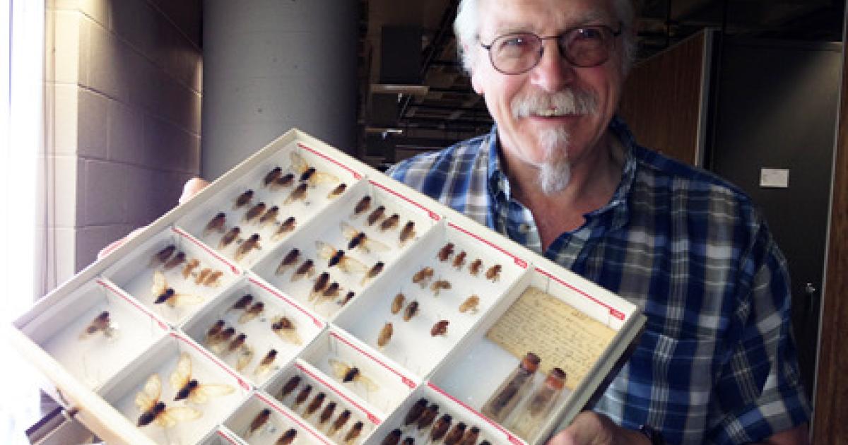 New Director Named for Undergraduate Biology | CALS
