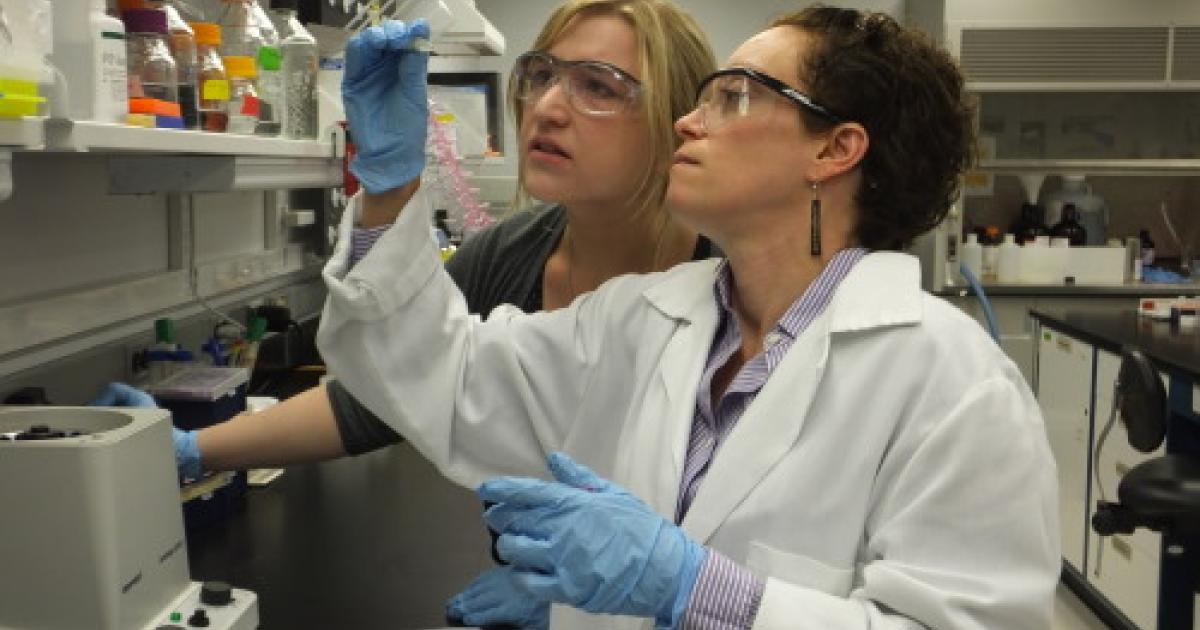 Alumni gift aids Cornell research into devastating citrus greening | CALS