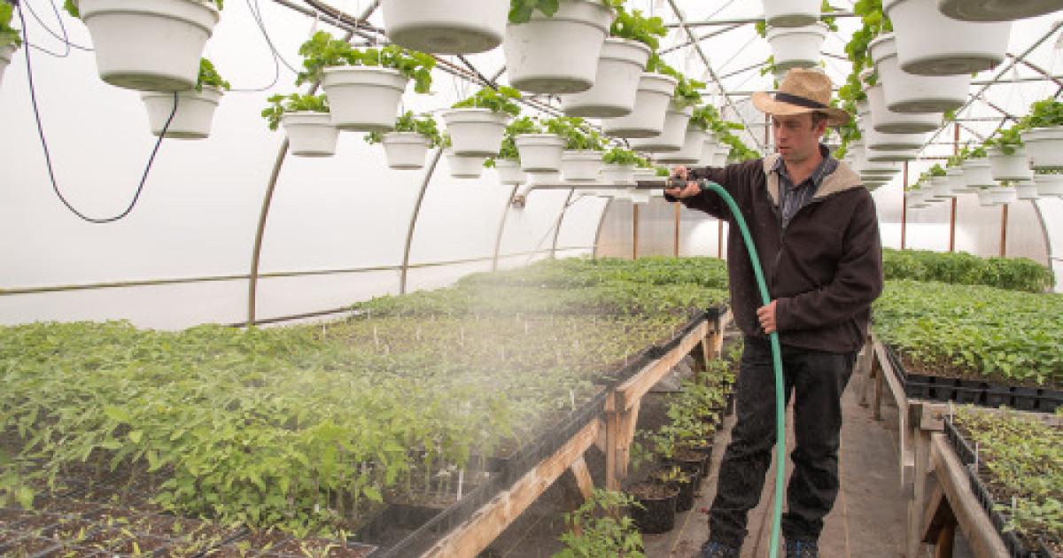 Relationships at root of Cornell Vegetable Program’s reach | CALS