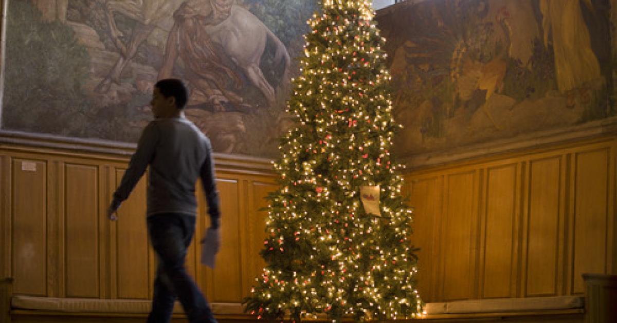 Pick the right tree with a PhD and Pro | CALS