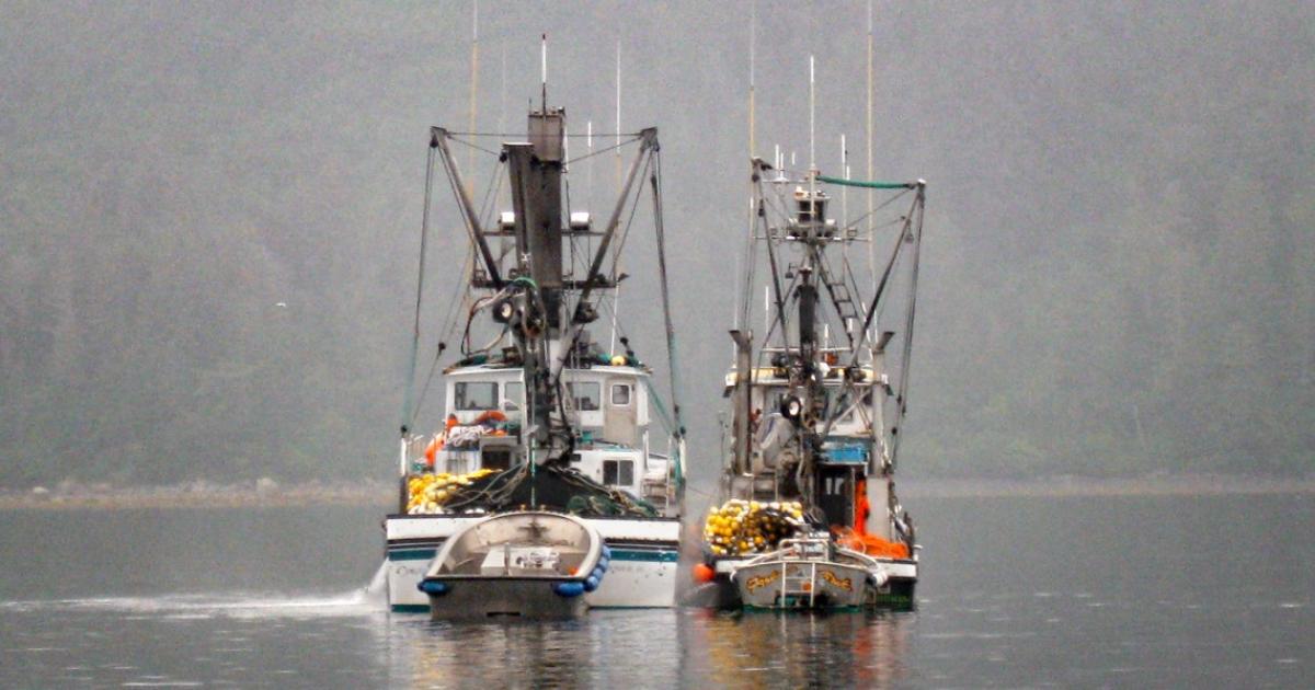 Cornell, Nature Conservancy to study key climate projects | CALS