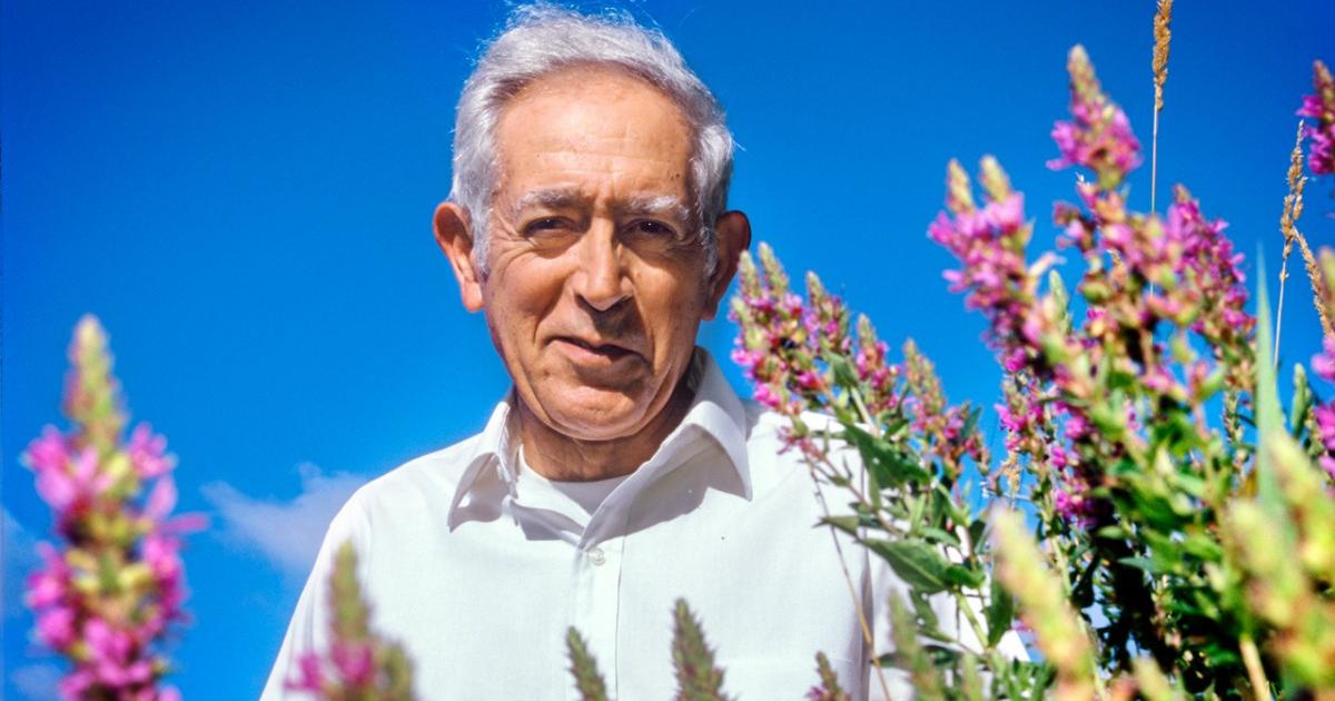 Pimentel, professor emeritus and environmental scientist, dies at 94 | CALS