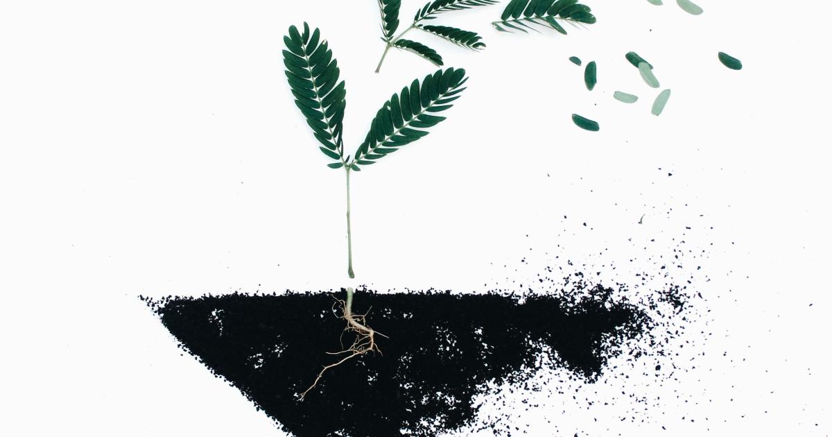 New soil models may ease atmospheric CO2, climate change | CALS