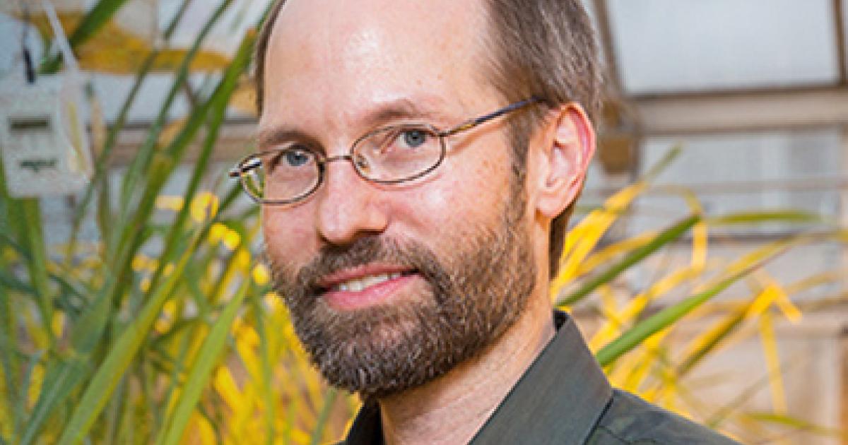 Edward S. Buckler | CALS