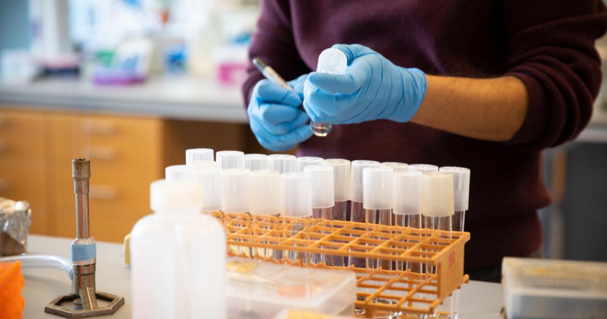 ‘Jumping genes’ repeatedly form new genes over evolution | CALS