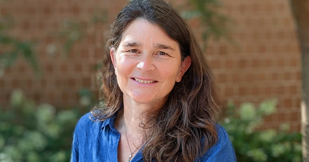 Sally Gibbins | CALS