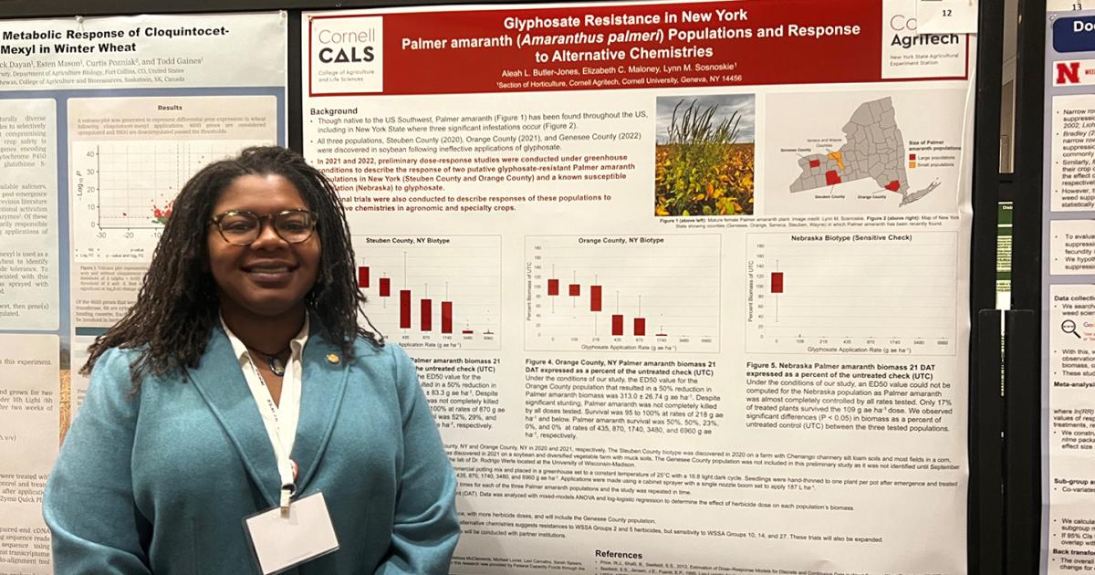 Researchers, grad students shine at weed science meetings | CALS