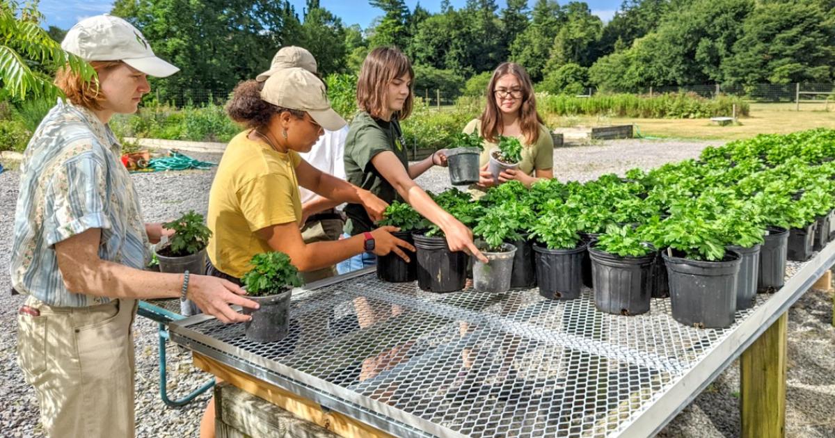 Students ‘Learning by Leading’ in the Cornell Botanic Gardens | CALS
