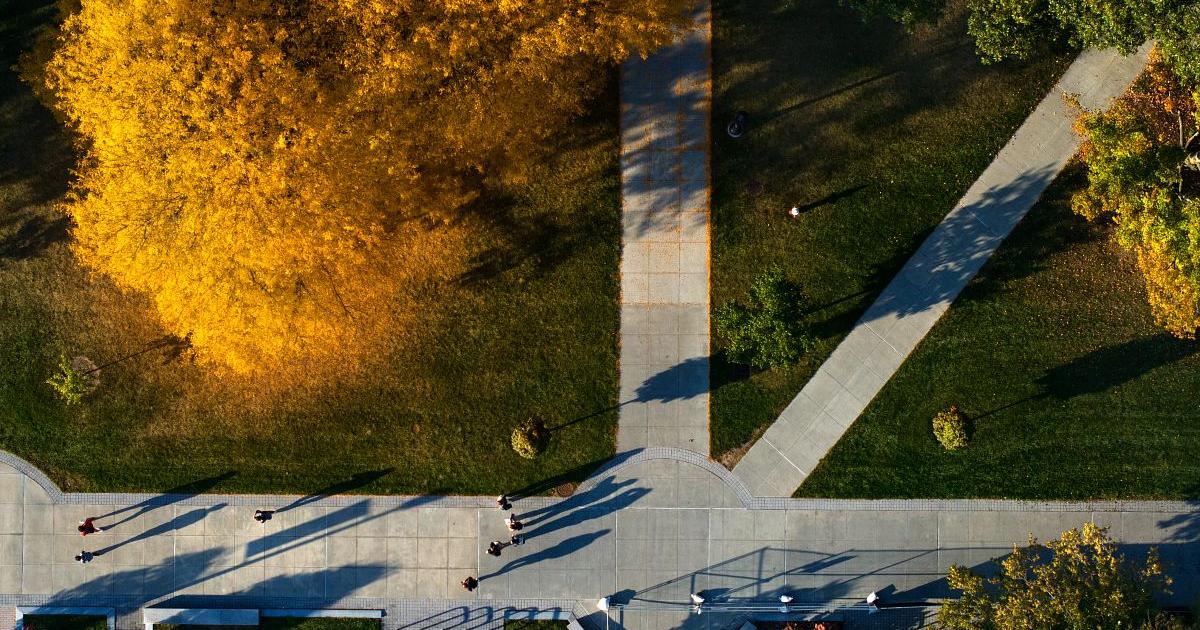 Meet our new faculty - fall 2024 | CALS