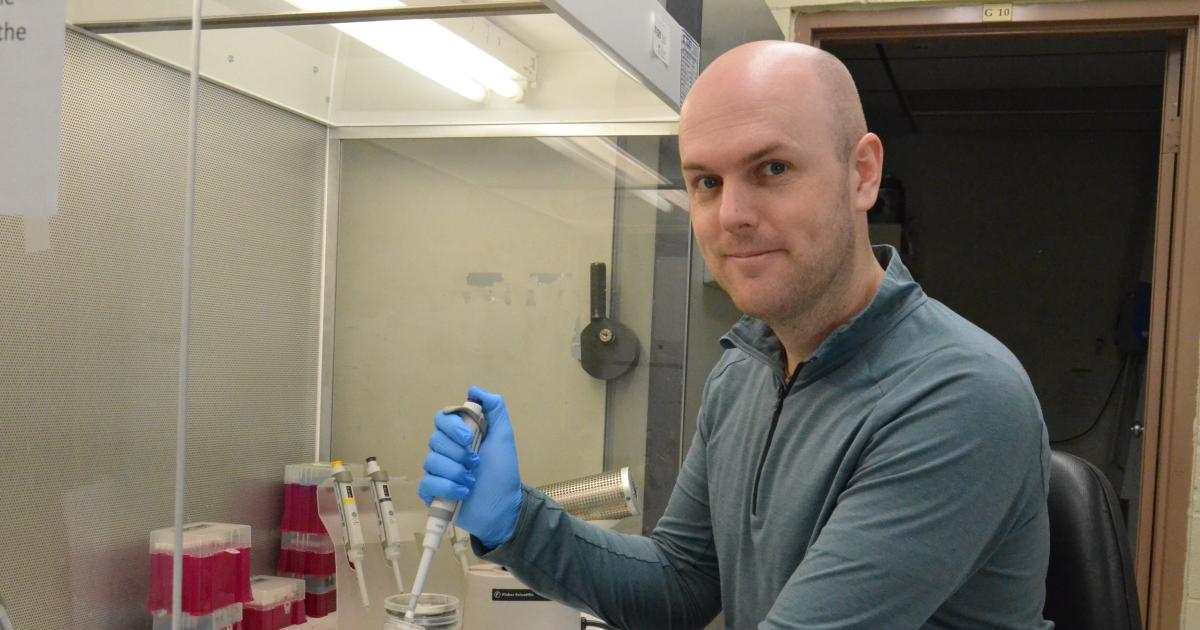 Plant pathologist plans creative solutions at Hudson Valley Research ...