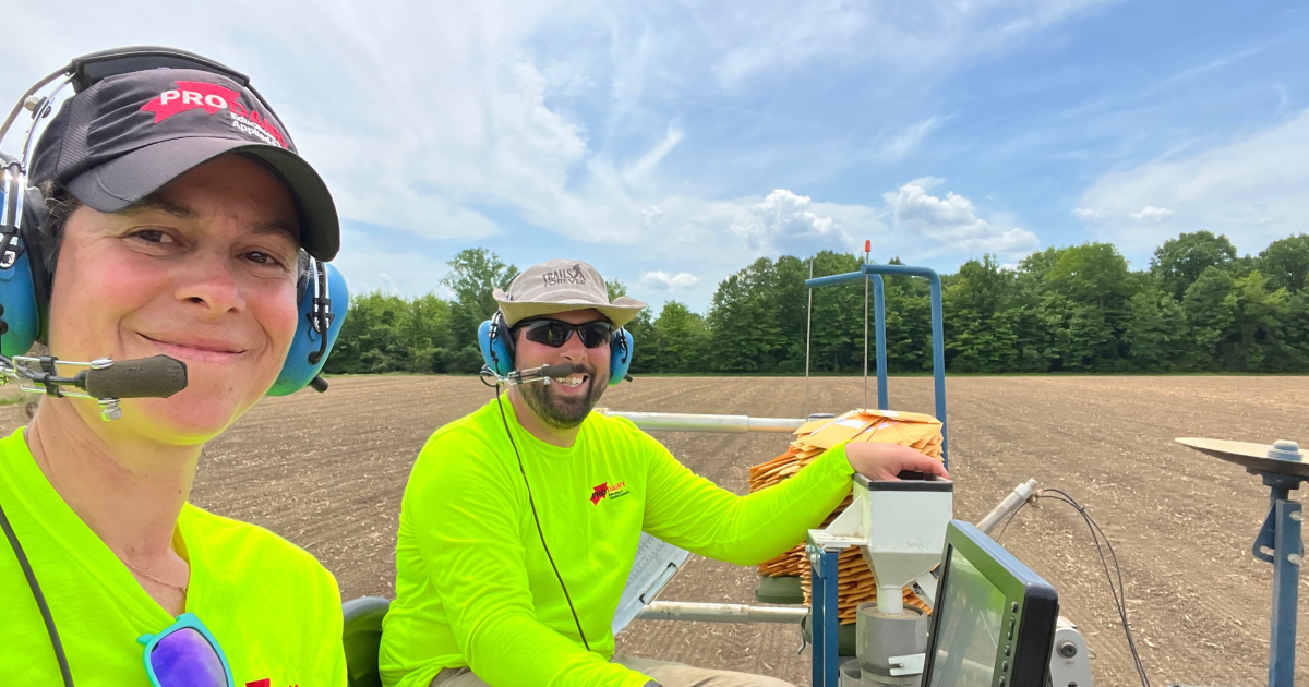 2024 New York and Vermont Corn Silage Hybrid Evaluation Program | CALS