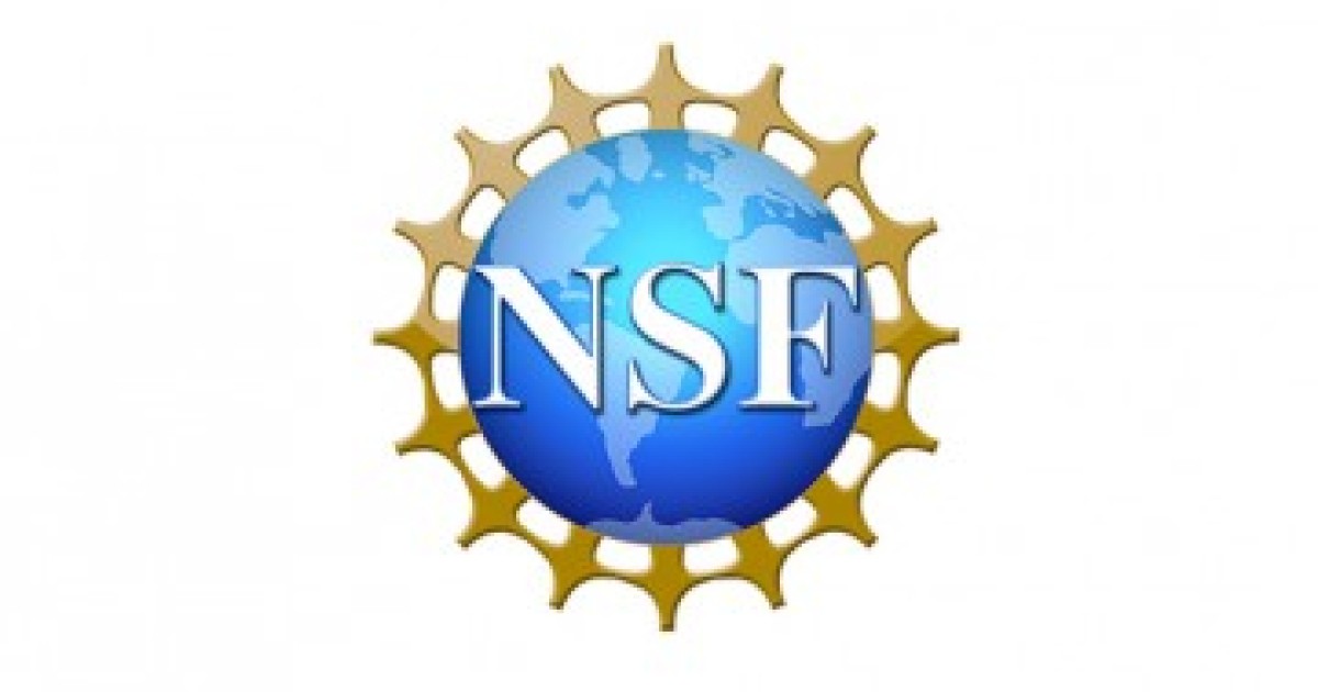 Five early-career professors win NSF development awards | CALS