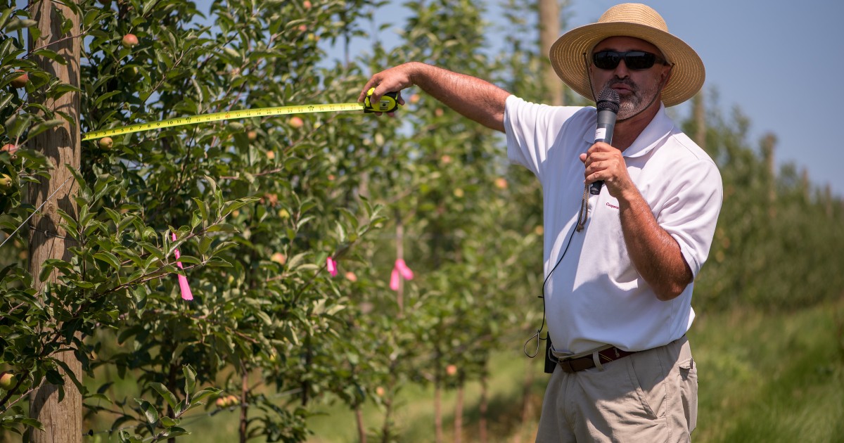 Innovations in apple farming with CCE specialist Mario Miranda Sazo | CALS