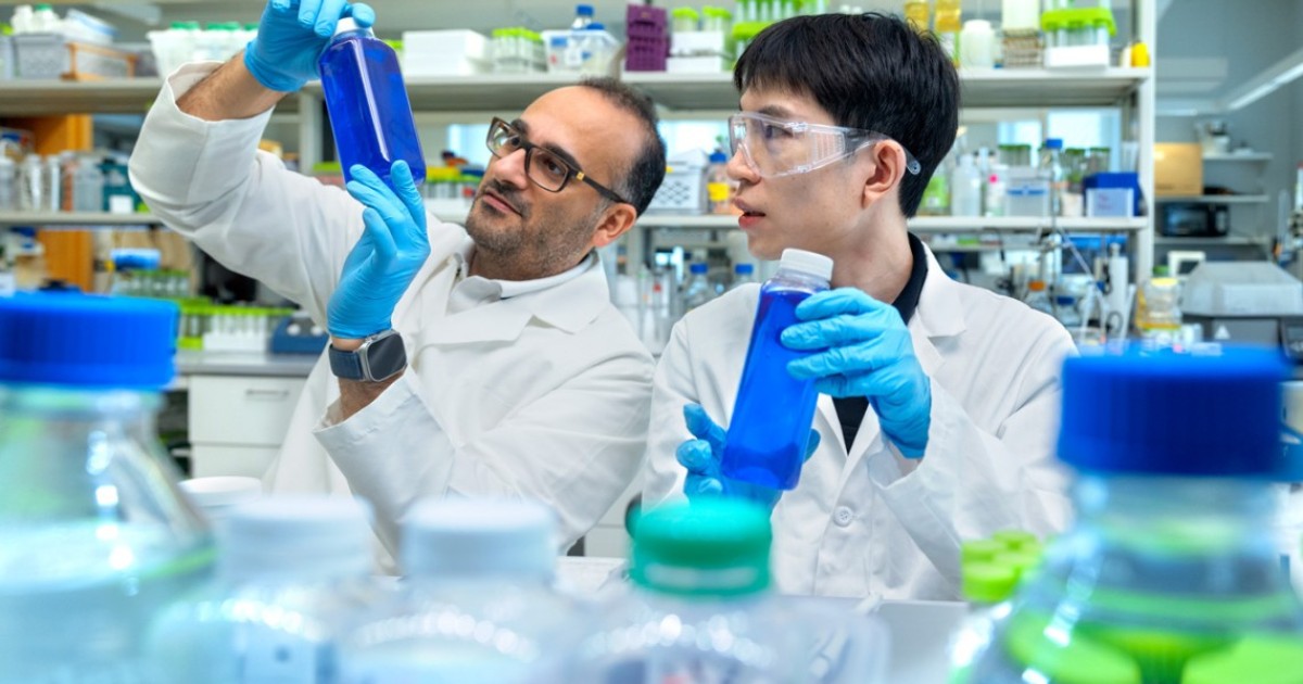 True blue: Researchers create better blue food dye from algae | CALS
